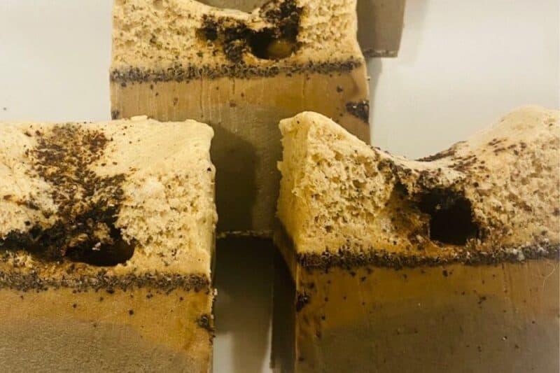 Coffee Soap Benefits for the Skin + Easy Recipes to Make at Home