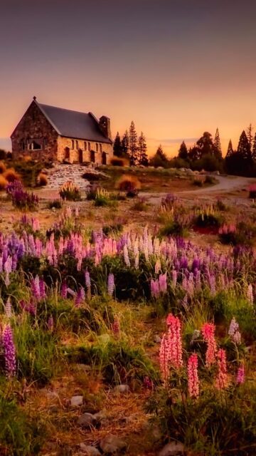 40+ Cottagecore iPhone Wallpapers (Free to download)