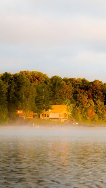 40+ Cottagecore iPhone Wallpapers (Free to download)