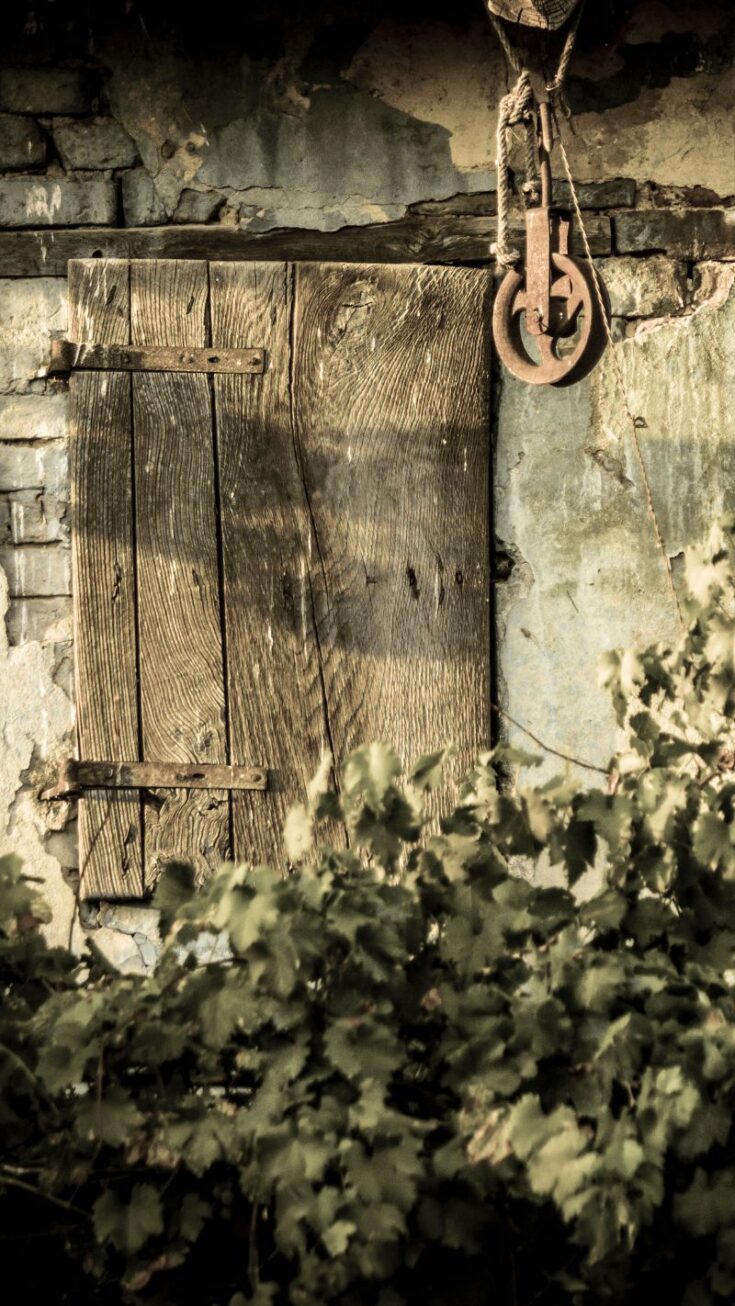 40+ Cottagecore iPhone Wallpapers (Free to download)