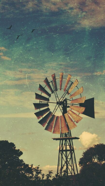 40+ Cottagecore iPhone Wallpapers (Free to download)