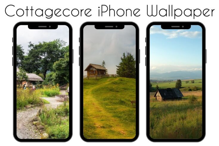 40+ Cottagecore iPhone Wallpapers (Free to download)